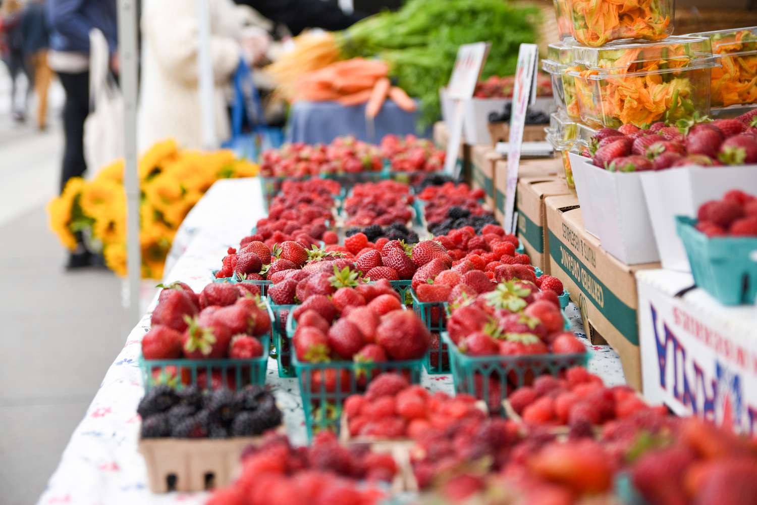 A Guide to Yorba Linda’s Farmers Market and Local Vendors - The Malakai ...